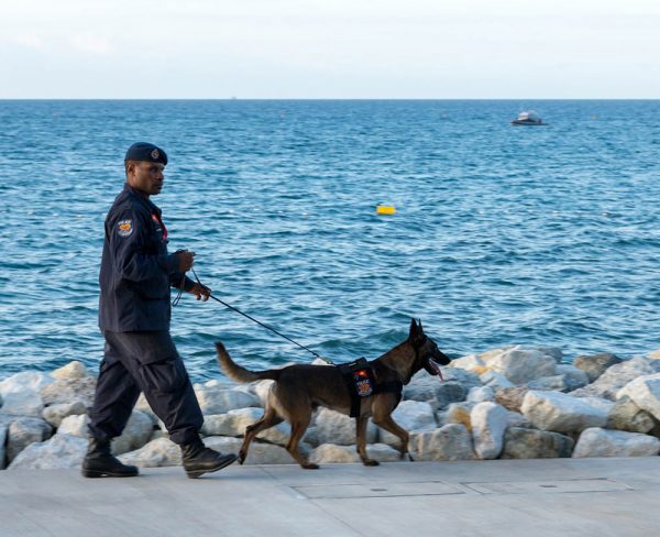 Police Dog Handler Course – General Purpose Operations | Dog Force ...
